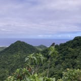 Cross Island Track and The Needle, Rarotonga, Cook Islands - 222 ...