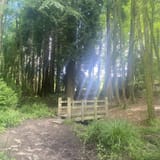 Tintern Abbey and Devil's Pulpit Circular, Monmouthshire, Wales - 823 ...