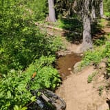 Umatilla Rim Trail, Oregon - 45 Reviews, Map | AllTrails
