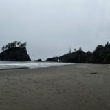 Second Beach, Washington - 1,807 Reviews, Map | AllTrails
