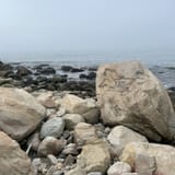 Napatree Point Conservation Area Trail, Rhode Island - 807 Reviews, Map ...