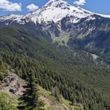 Top Spur and Timberline Loop, Oregon - 800 Reviews, Map | AllTrails