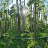 Chama Basin, Colorado - 41 Reviews, Map | AllTrails