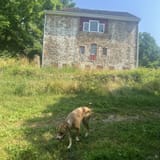 Okehocking Preserve Loop, Pennsylvania - 1,216 Reviews, Map | AllTrails