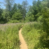 Okehocking Preserve Loop, Pennsylvania - 1,216 Reviews, Map | AllTrails