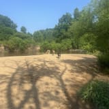 Okehocking Preserve Loop, Pennsylvania - 1,216 Reviews, Map | AllTrails