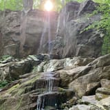 Buzzard Hill via Appalachian Trail, Virginia - 2,355 Reviews, Map ...
