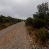 Grasslands Loop Trail, California - 1,717 Reviews, Map | AllTrails