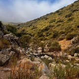Grasslands Loop Trail, California - 1,717 Reviews, Map | AllTrails
