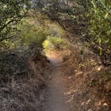 Grasslands Loop Trail, California - 1,717 Reviews, Map | AllTrails