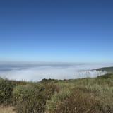 Ocean Overlook Loop, California - 1,003 Reviews, Map | AllTrails