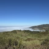 Ocean Overlook Loop, California - 1,003 Reviews, Map | AllTrails