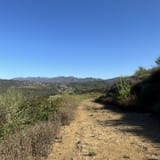 Ocean Overlook Loop, California - 1,003 Reviews, Map | AllTrails