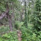 Christopher Creek, Arizona - 94 Reviews, Map | AllTrails