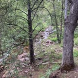 Christopher Creek, Arizona - 94 Reviews, Map | AllTrails