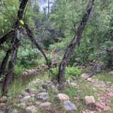 Christopher Creek, Arizona - 94 Reviews, Map | AllTrails