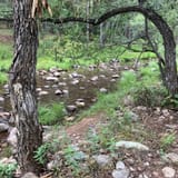 Christopher Creek, Arizona - 94 Reviews, Map | AllTrails