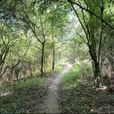Comite Park Loop, Louisiana - 913 Reviews, Map | AllTrails
