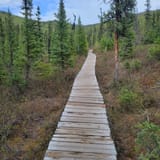 Angel Rocks Trail, Alaska - 893 Reviews, Map | AllTrails