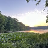 Two Lakes Loop Trail, Indiana - 554 Reviews, Map | AllTrails