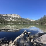 McLeod Lake Trail, California - 947 Reviews, Map | AllTrails