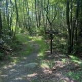 Mount Davis Pennsylvania Highpoint Trail, Pennsylvania - 785 Reviews ...
