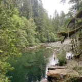 Englishman River Falls Trail, British Columbia, Canada - 1,555 Reviews ...