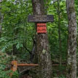 Blue Job Mountain Loop, New Hampshire - 2,248 Reviews, Map | AllTrails