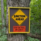 Blue Job Mountain Loop, New Hampshire - 2,248 Reviews, Map | AllTrails