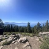 Tahoe Rim Trail to Picnic Rock Viewpoint, California - 3,526 Reviews, Map | AllTrails