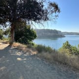 Lake Chabot Loop via West, Bass, Columbine, Honker, East Shore Trails ...