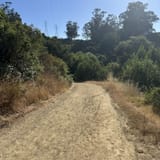 Lake Chabot Loop via West, Bass, Columbine, Honker, East Shore Trails ...