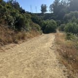 Lake Chabot Loop via West, Bass, Columbine, Honker, East Shore Trails ...