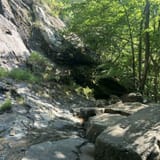 Jones Run Falls Trail, Virginia - 908 Reviews, Map | AllTrails