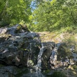 Jones Run Falls Trail, Virginia - 908 Reviews, Map | AllTrails
