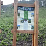 Handies Peak via American Basin Trail, Colorado - 1,055 Reviews, Map ...