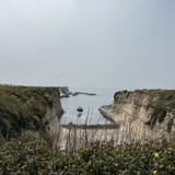 Old Cove Landing Trail, California - 3,935 Reviews, Map | AllTrails