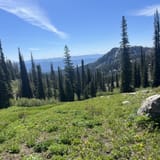 Blue Lake Trail, Idaho - 467 Reviews, Map | AllTrails