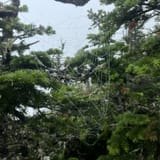 Mount Moriah and Carter Mountains Traverse, New Hampshire - 65 Reviews ...