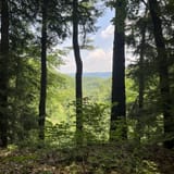 Gorge Trail Loop, New York - 576 Reviews, Map | AllTrails