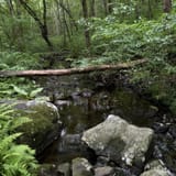 King Benson Preserve Trail, Rhode Island - 597 Reviews, Map | AllTrails