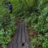 King Benson Preserve Trail, Rhode Island - 597 Reviews, Map | AllTrails