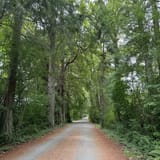 Lochside Regional Trail, British Columbia, Canada - 483 Reviews, Map ...