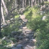 Lava Lake Trail, Montana - 3,165 Reviews, Map | AllTrails