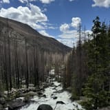 Cascade Falls, Colorado - 1,742 Reviews, Map | AllTrails