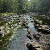 High Rocks, Pennsylvania - 3,343 Reviews, Map | AllTrails