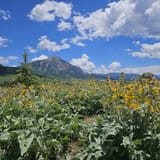 Crested Butte Upper and Lower Loop, Colorado - 1,037 Reviews, Map ...