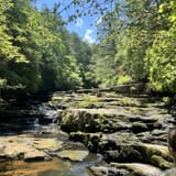 Savage Falls, Tennessee - 819 Reviews, Map | AllTrails