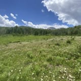 Thomas Lakes Trail, Colorado - 1,527 Reviews, Map | AllTrails