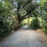Sea Pines Forest Preserve, South Carolina - 900 Reviews, Map | AllTrails